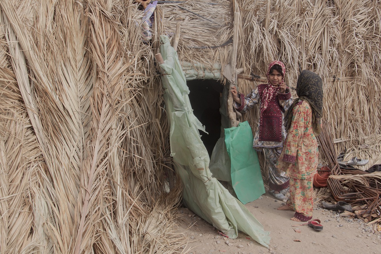 Indigenous Communities Are Leading the Way in Boreal Forest ...